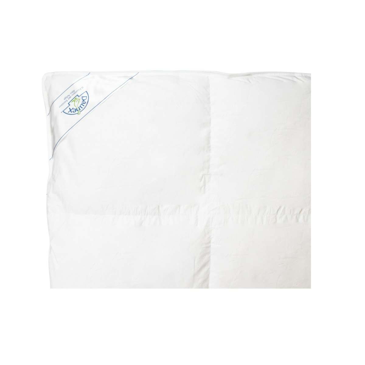 Piumone Matrimoniale Invernale St. Moritz Warm 100% Piuma d'Oca Daunex ...
